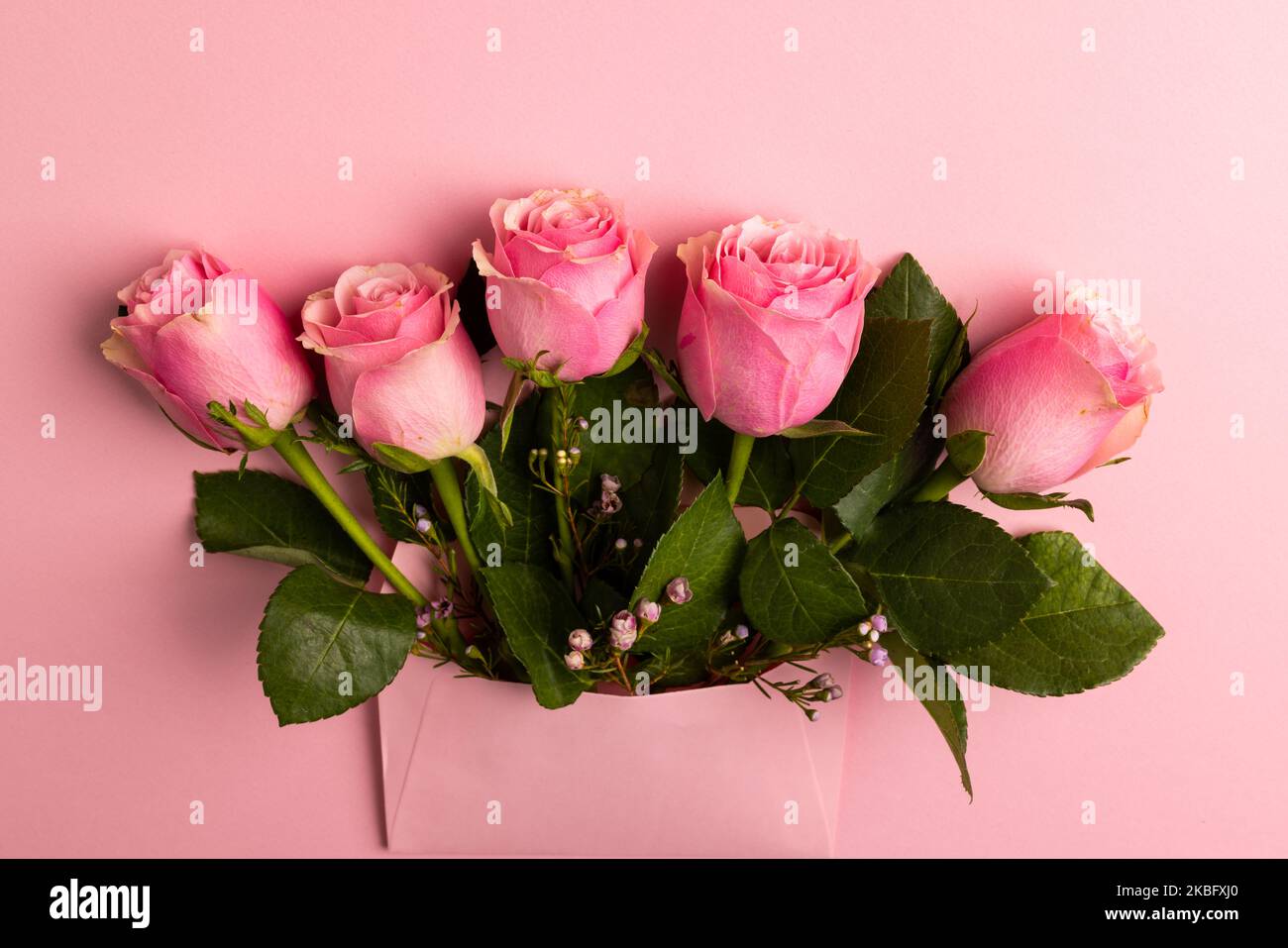 Composition with pink roses hi-res stock photography and images - Alamy
