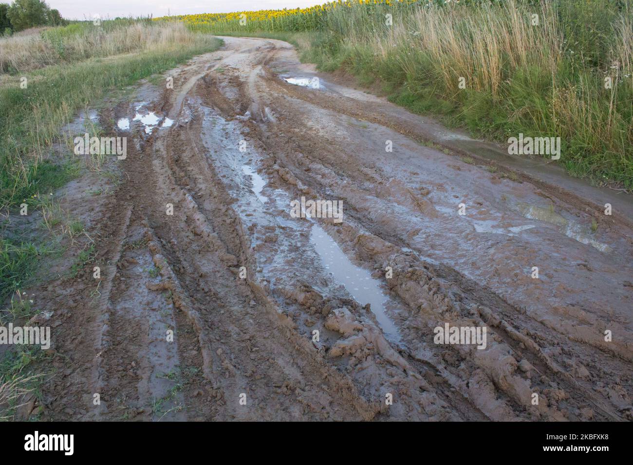 Mud and puddles on the dirt road with sand hills in the background ...
