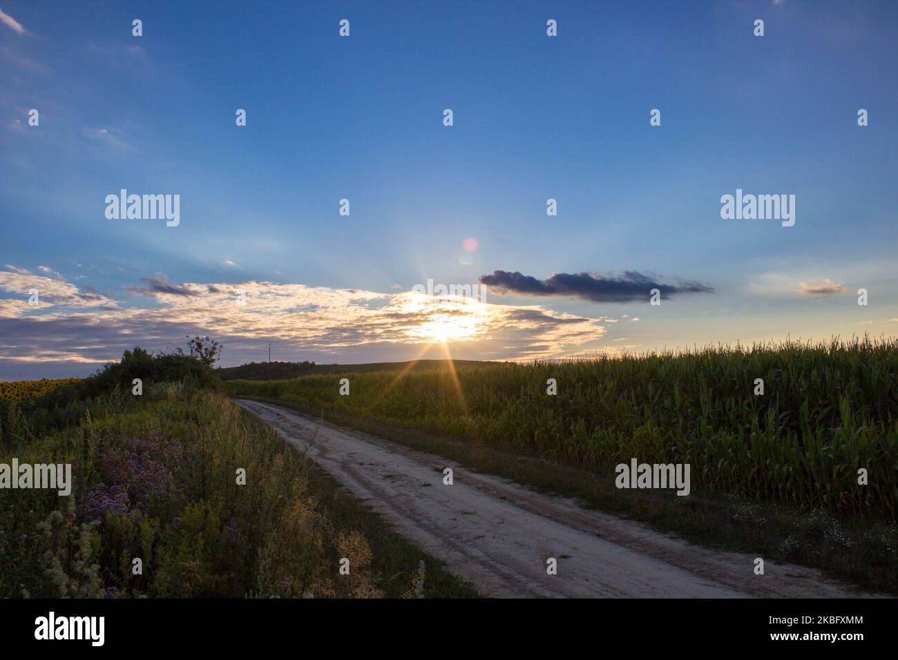 Beautiful sunset in field summer hi-res stock photography and images ...