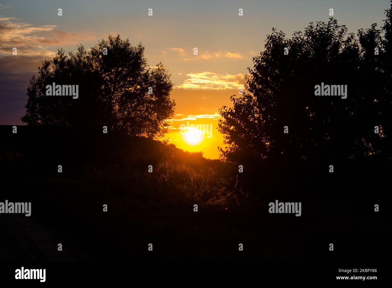 Sunset between two trees in the evening Stock Photo - Alamy