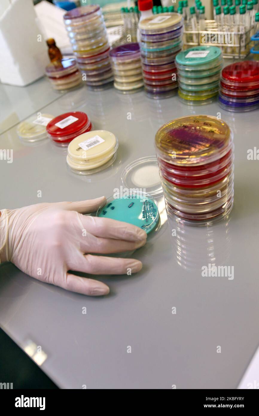 Workers in an infectious disease analysis and treatment unit in a ...
