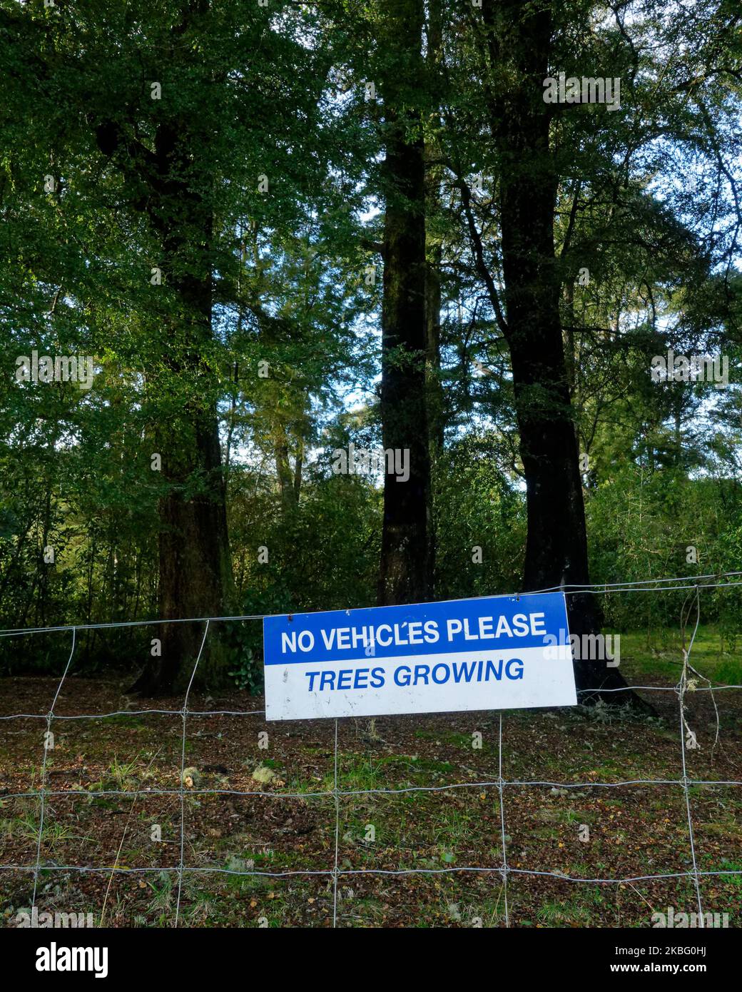 Sign saying: No vehicles please, trees growing. Tasman region, south ...