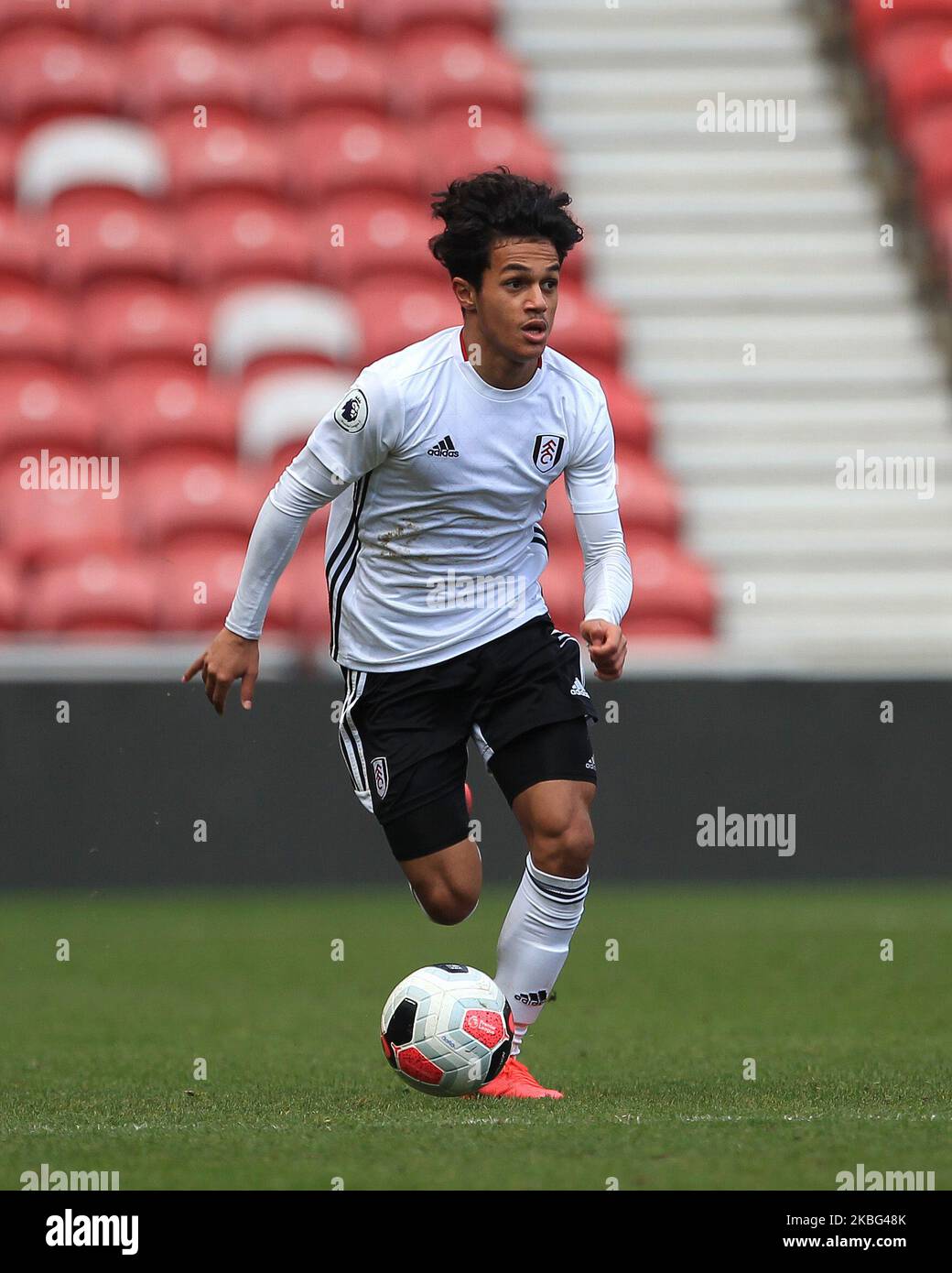 Sylvester jasper hi-res stock photography and images - Alamy