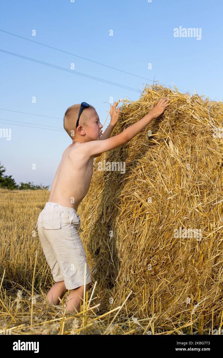 Boy Climbing a Bale of Hay on a Field in Summer Stock Photo - Alamy
