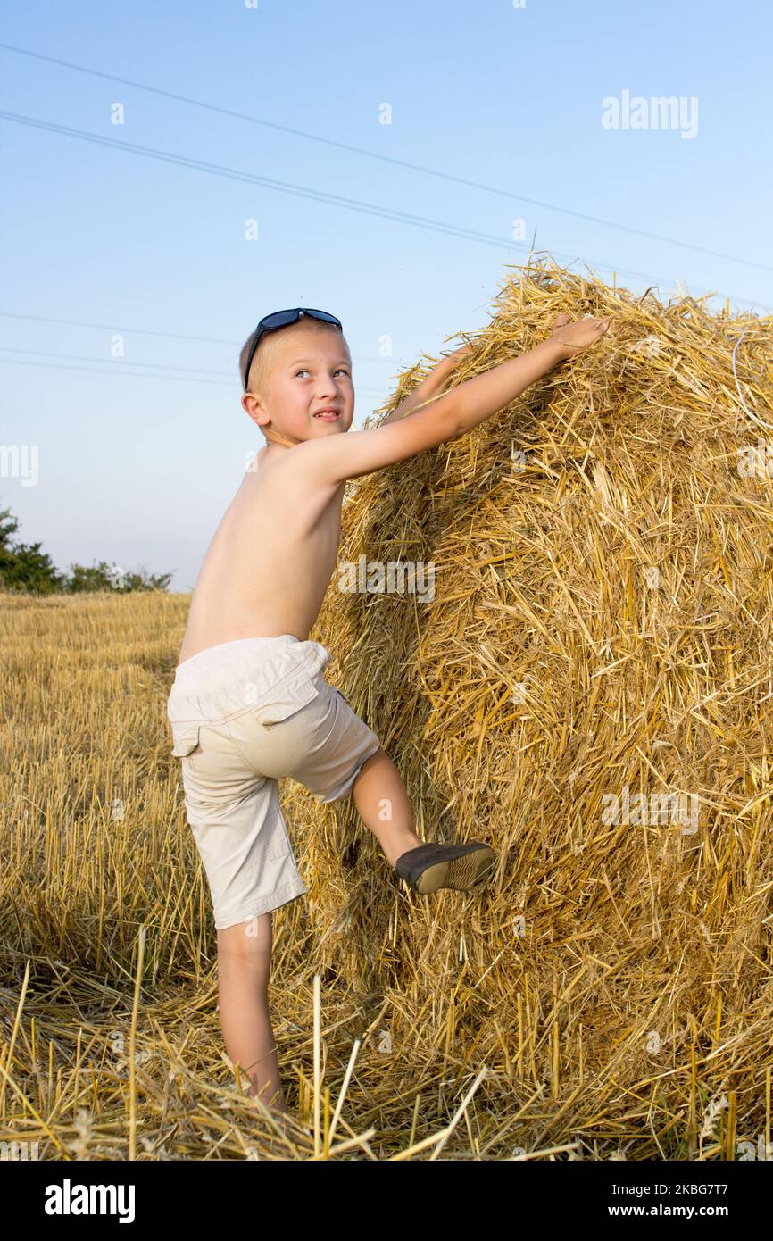 Portrait boy climb on a bale of hay and look at the back to the sky ...