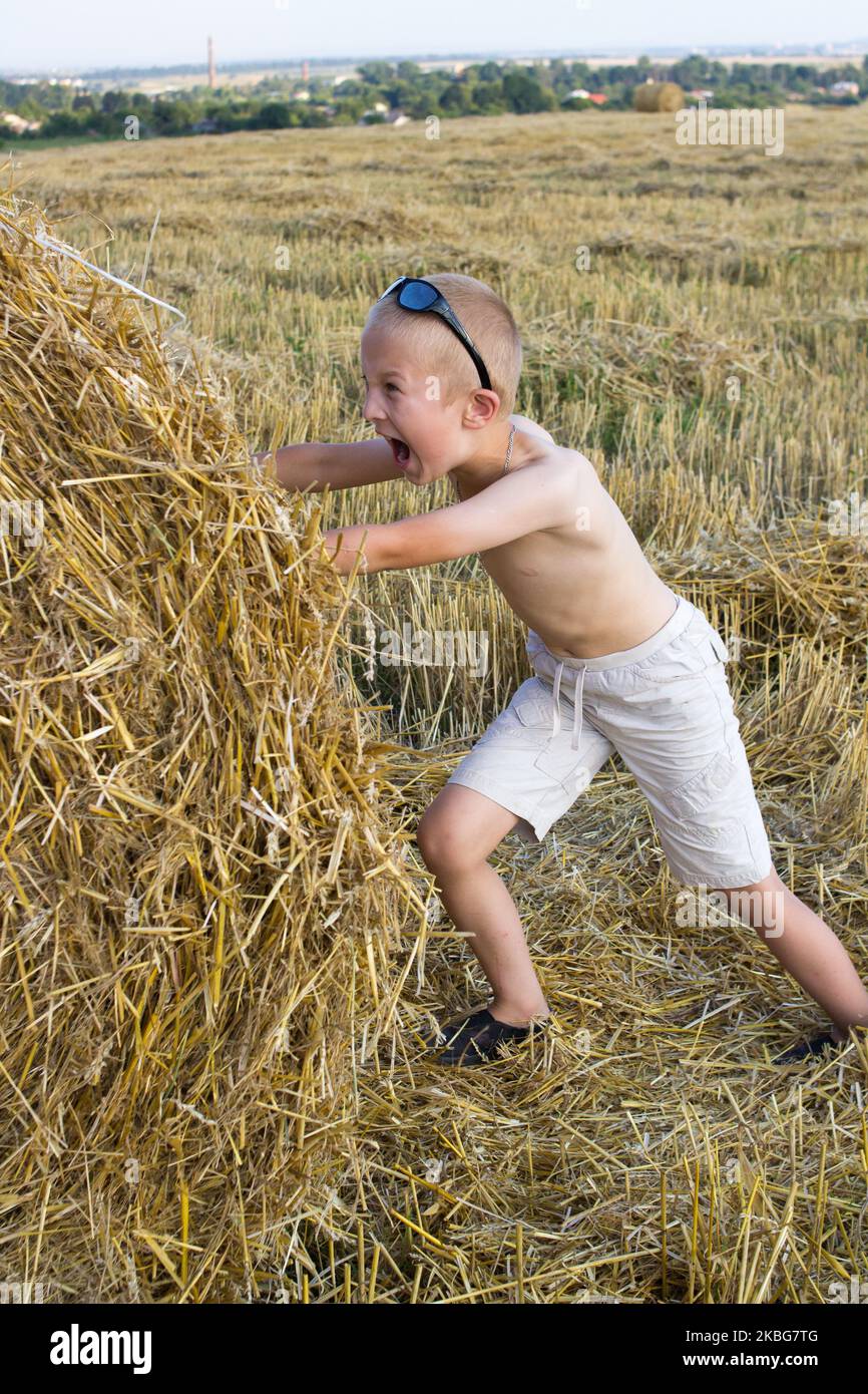 a boy in the field with a shout pushes a bale of hay Stock Photo - Alamy