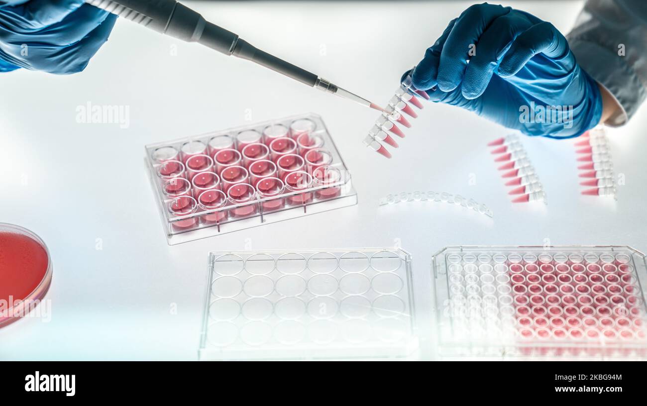 96 well plate multichannel pipette hi-res stock photography and images ...