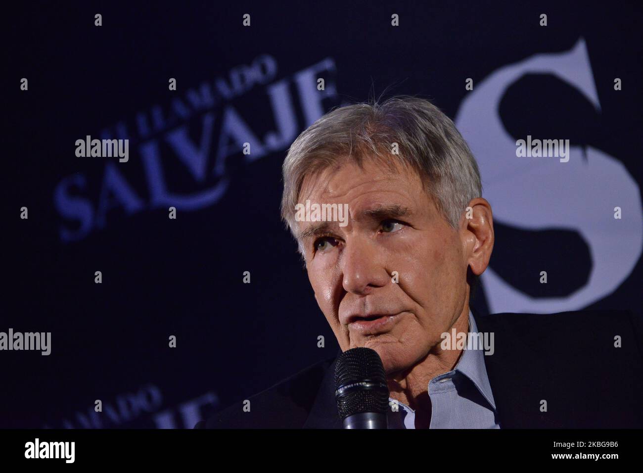 American actor Harrison Ford speaks during The Call of the Wild film ...