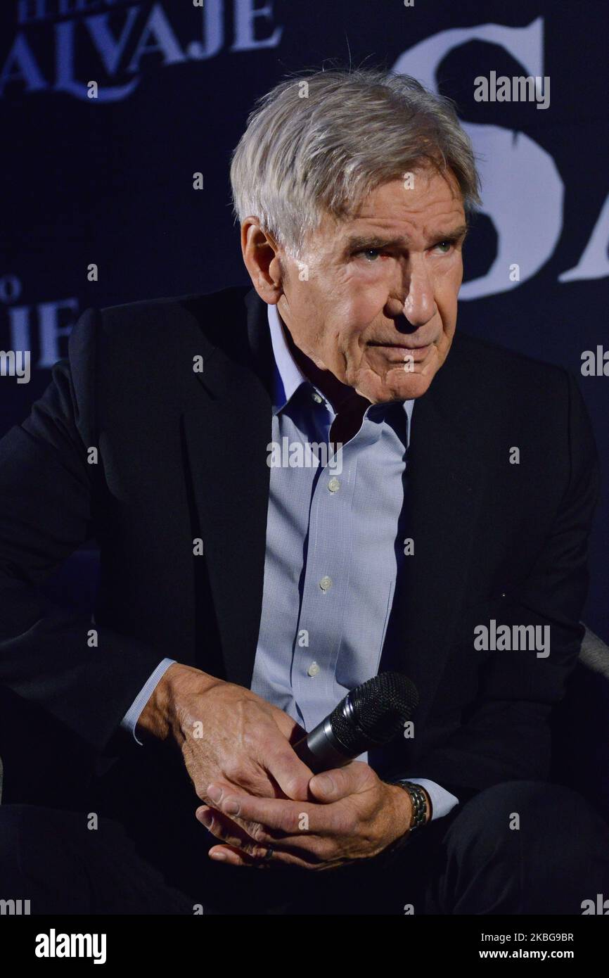 American actor Harrison Ford speaks during The Call of the Wild film ...