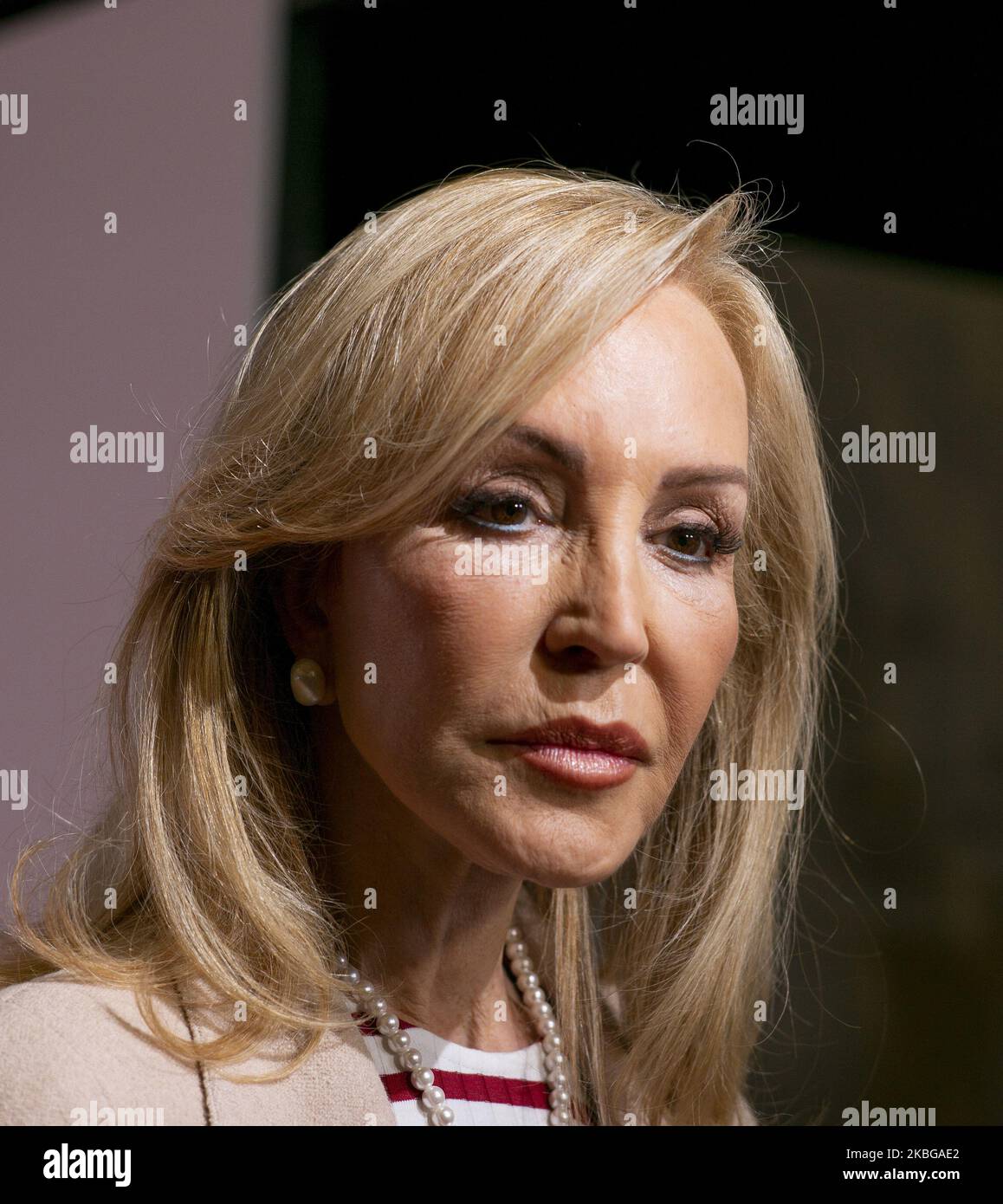 Carmen Lomana attends 'Especiales' premiere at French Institute on ...