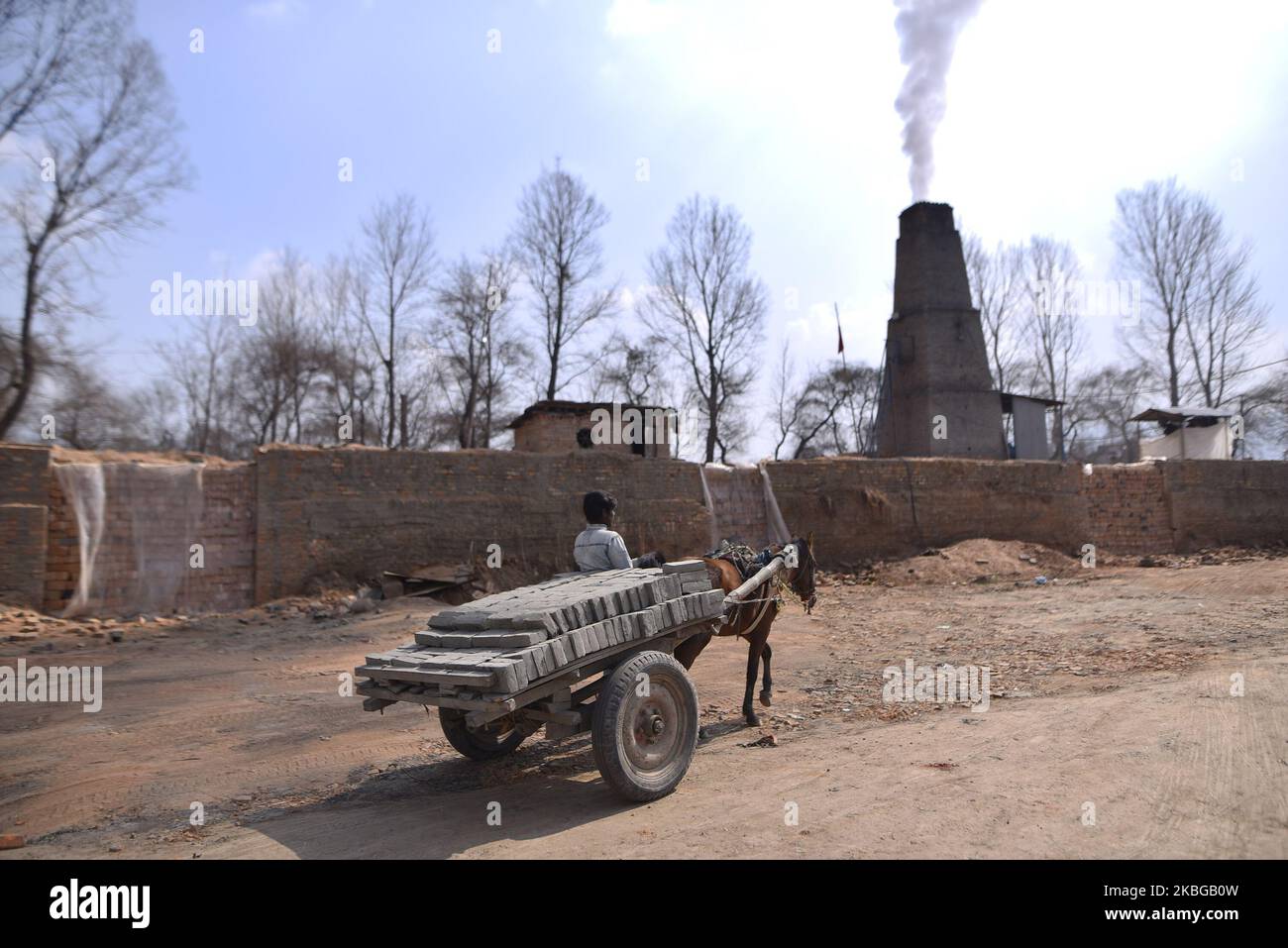 A Worker carrying raw bricks using donkey at a Bricks Factory in ...