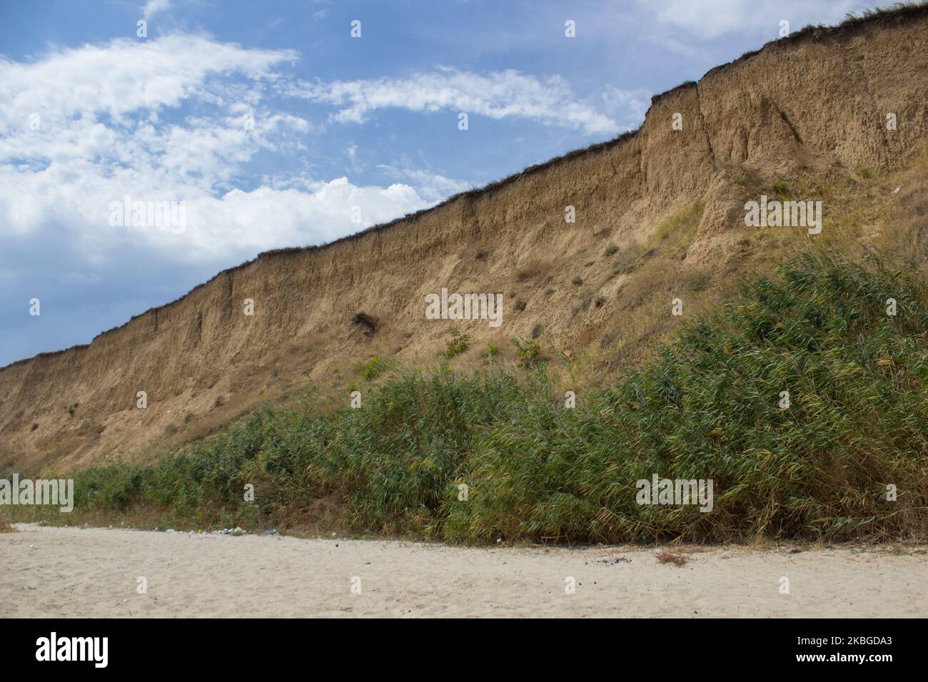 the coast of the sea is a great cliff from the sand Stock Photo - Alamy
