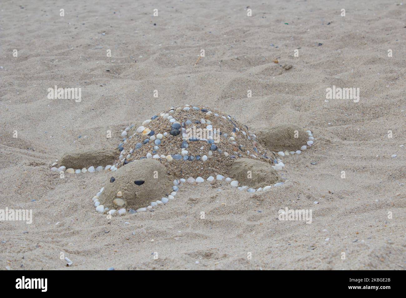 Sand sculpture of a turtle on beach Stock Photo - Alamy