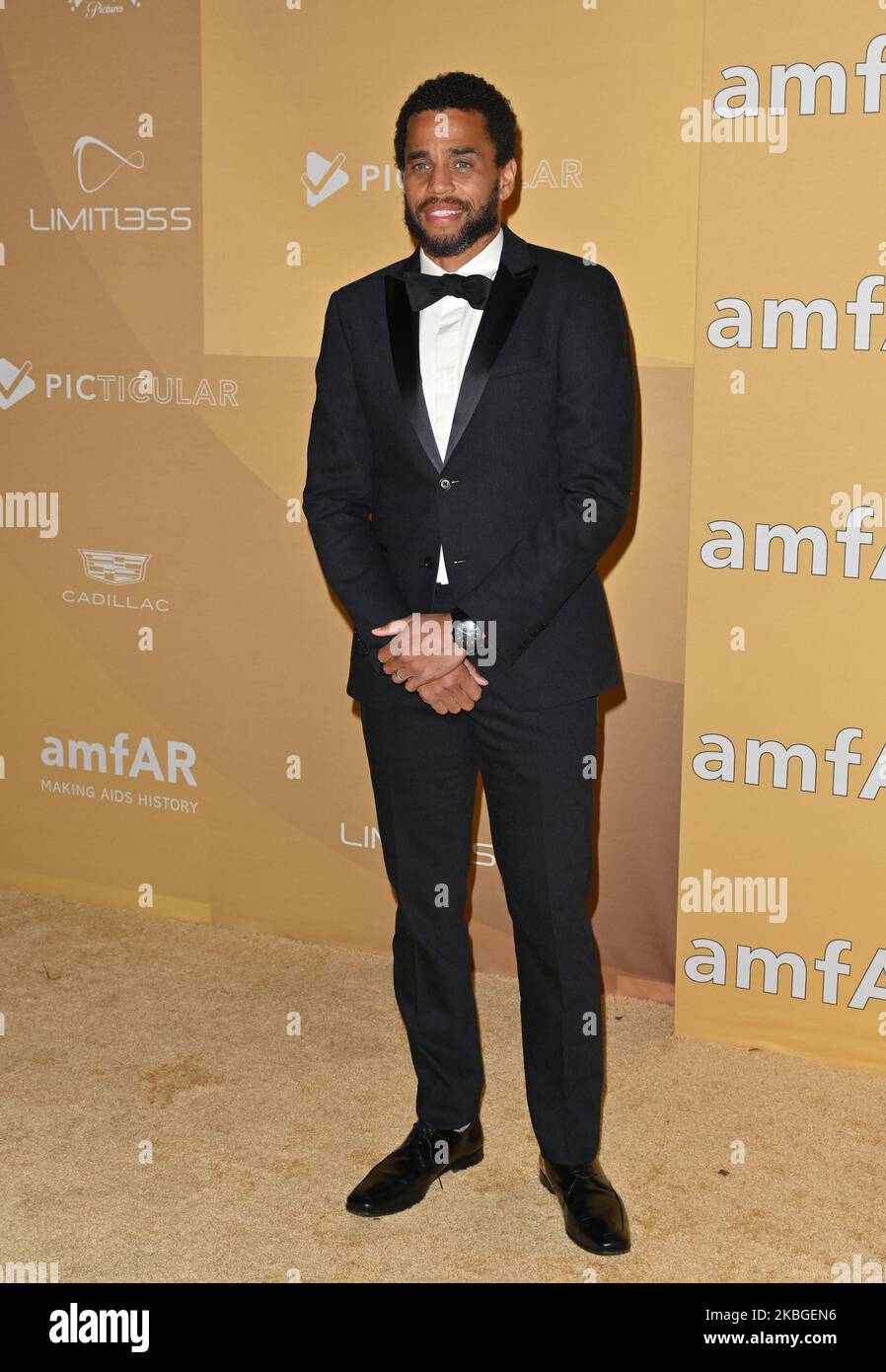Los Angeles, USA. 03rd Nov, 2022. Michael Ealy at the amfAR Gala Los ...