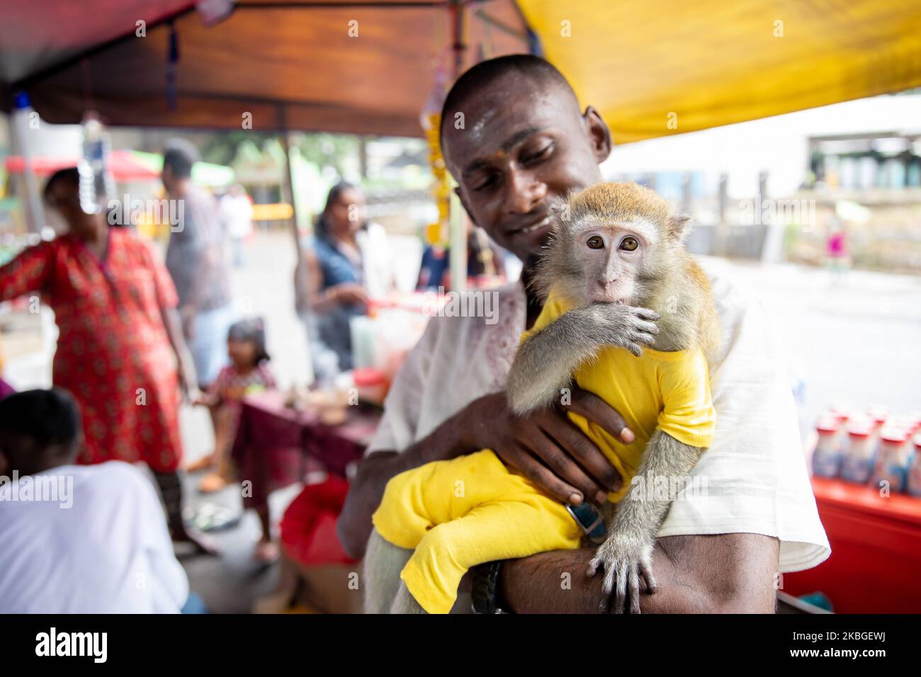 Hindu worshipper monkey hi-res stock photography and images - Alamy