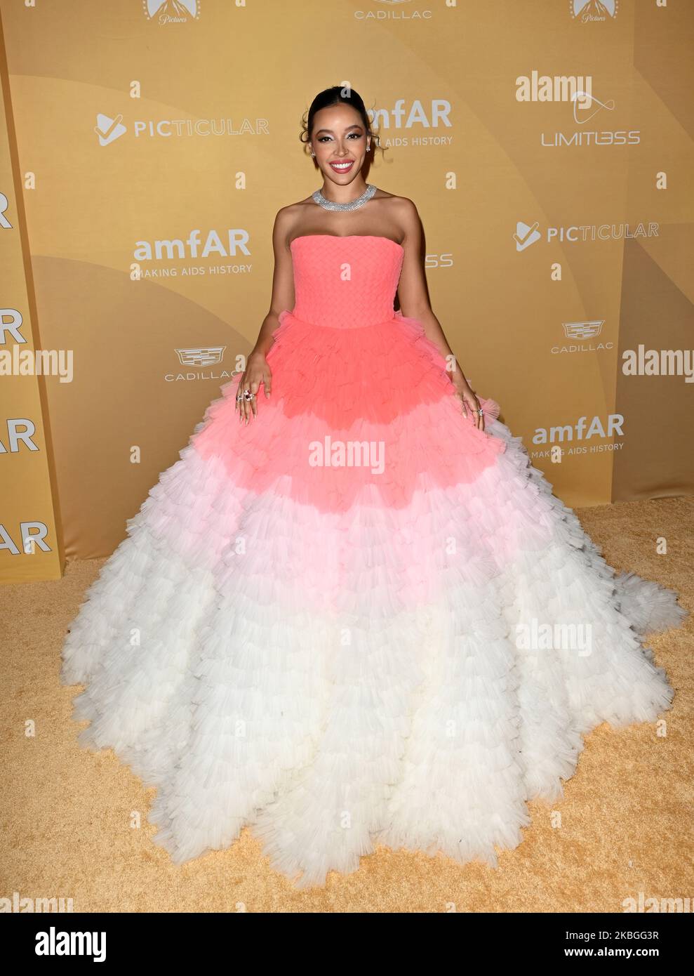 Los Angeles, USA. 03rd Nov, 2022. Tinashe at the amfAR Gala Los Angeles ...