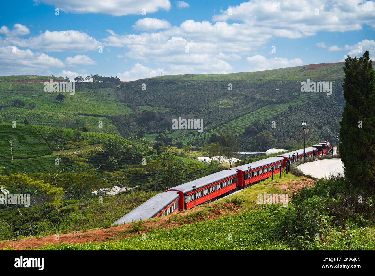 Red train in tea field in Da Lat Vietnam Stock Photo - Alamy