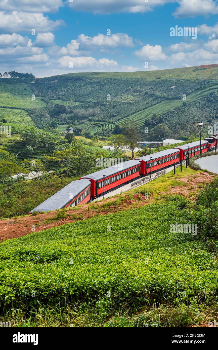 Red train in tea field in Da Lat Vietnam Stock Photo - Alamy
