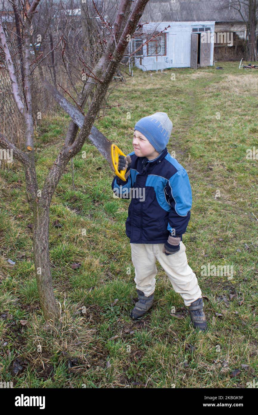 Little Helper gardening saw cutting a tree branch Stock Photo - Alamy