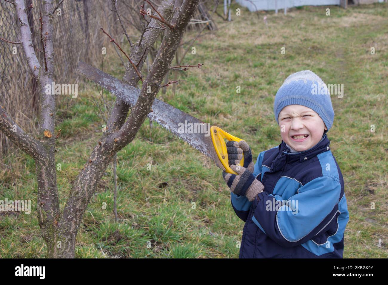 Small gardener with a grin cut tree branches Stock Photo - Alamy