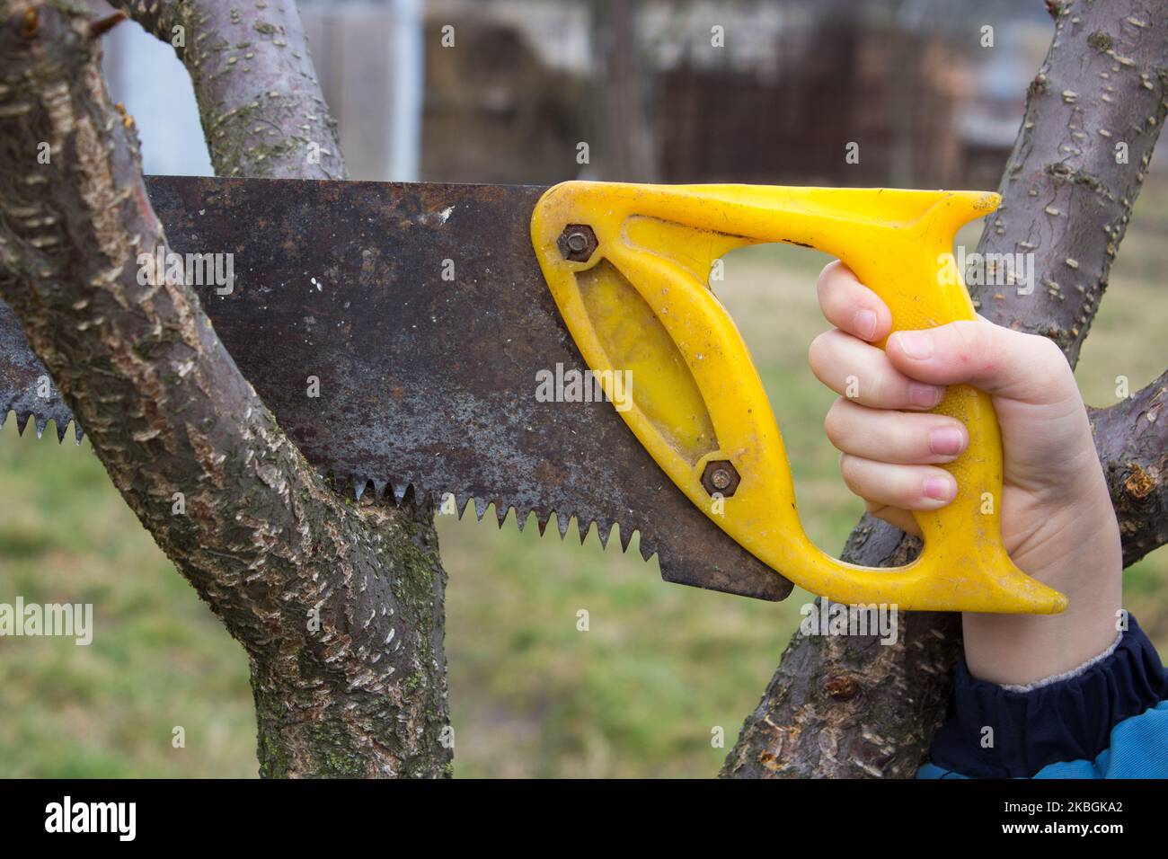 Saw with a hacksaw hi-res stock photography and images - Alamy