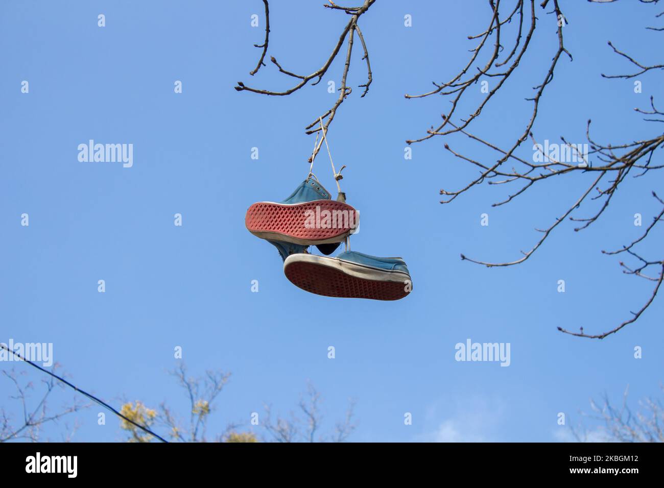 Shoes on branches hi-res stock photography and images - Alamy