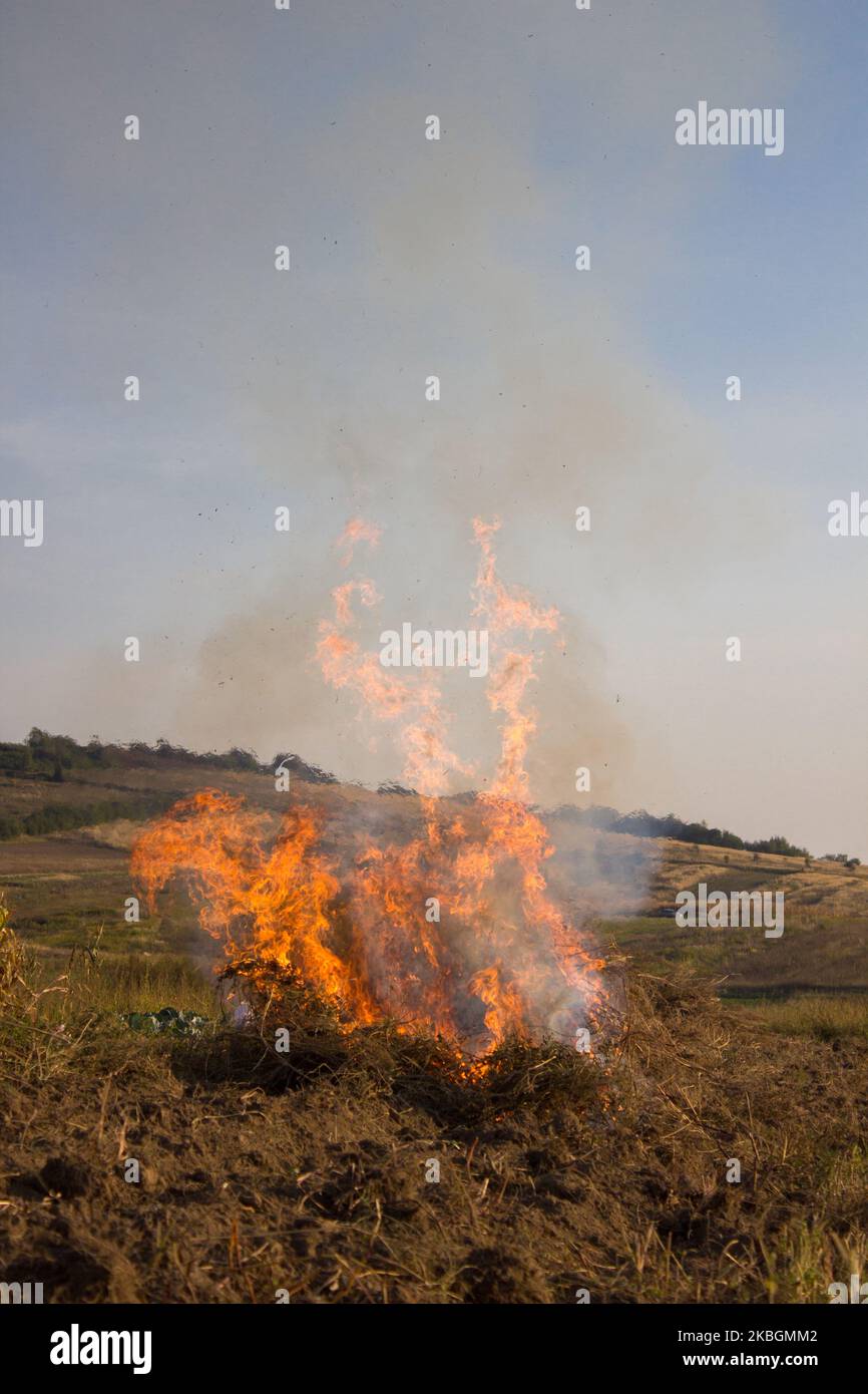 Fire field hi-res stock photography and images - Alamy
