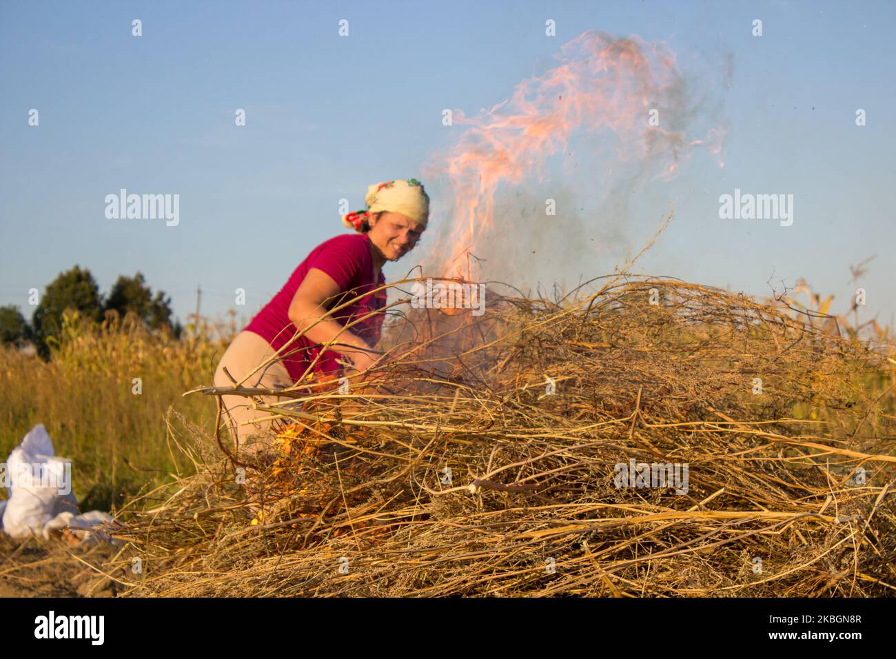 Farmer looks burning field hi-res stock photography and images - Alamy