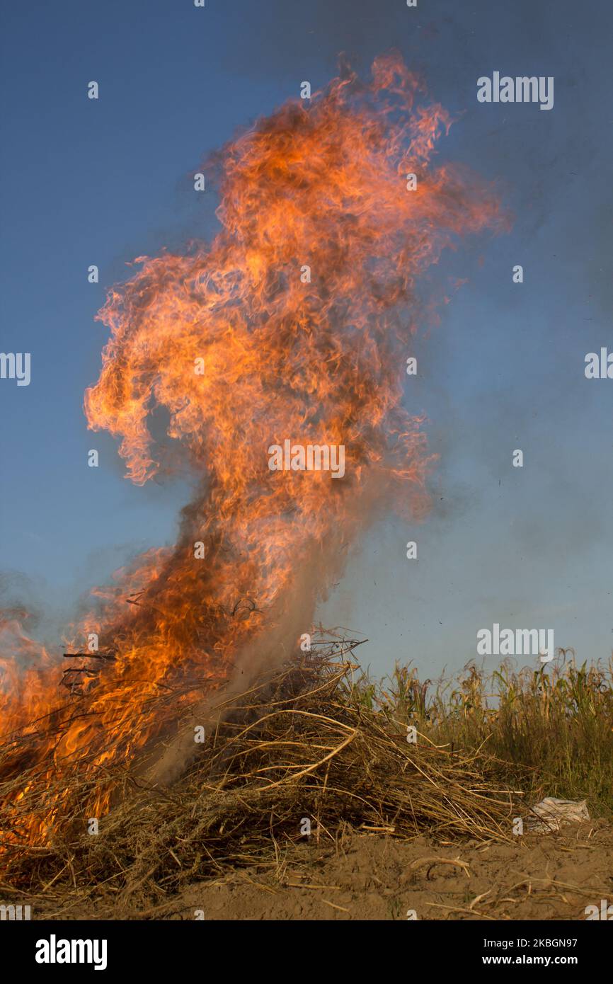 The big extensive fire in the field. Close up Stock Photo - Alamy