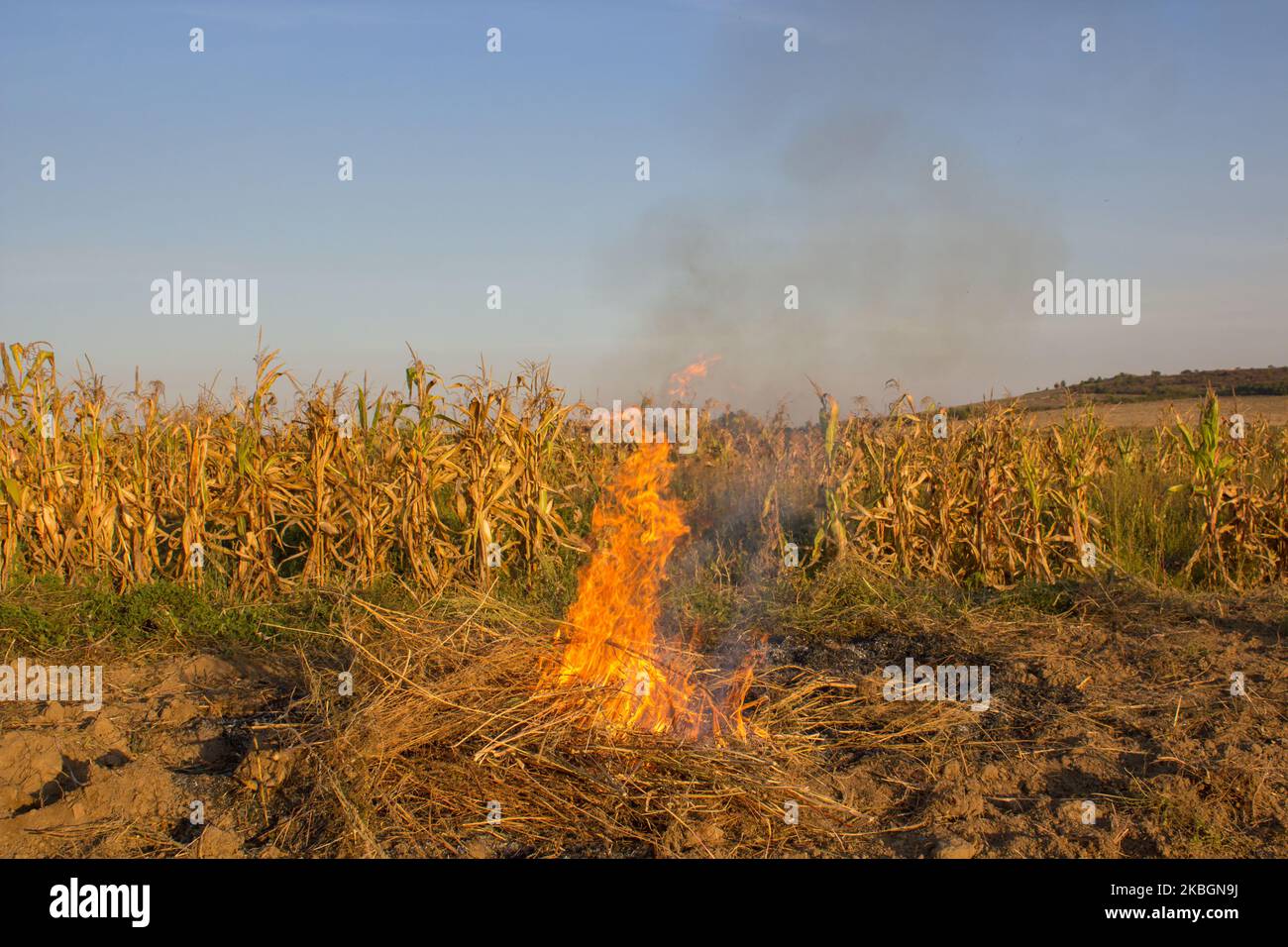 Burn corn hi-res stock photography and images - Alamy