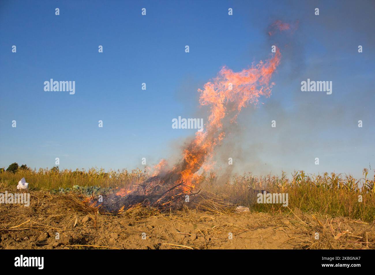 dry grass burns in the steppe. Field, autumn season Stock Photo - Alamy