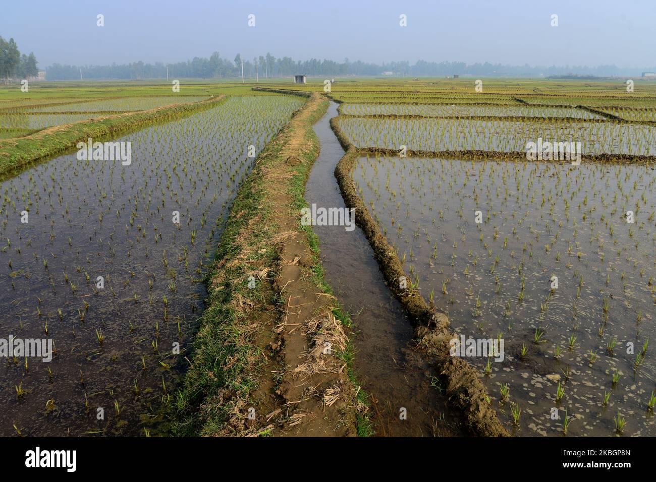Irrigation System Of Bangladesh