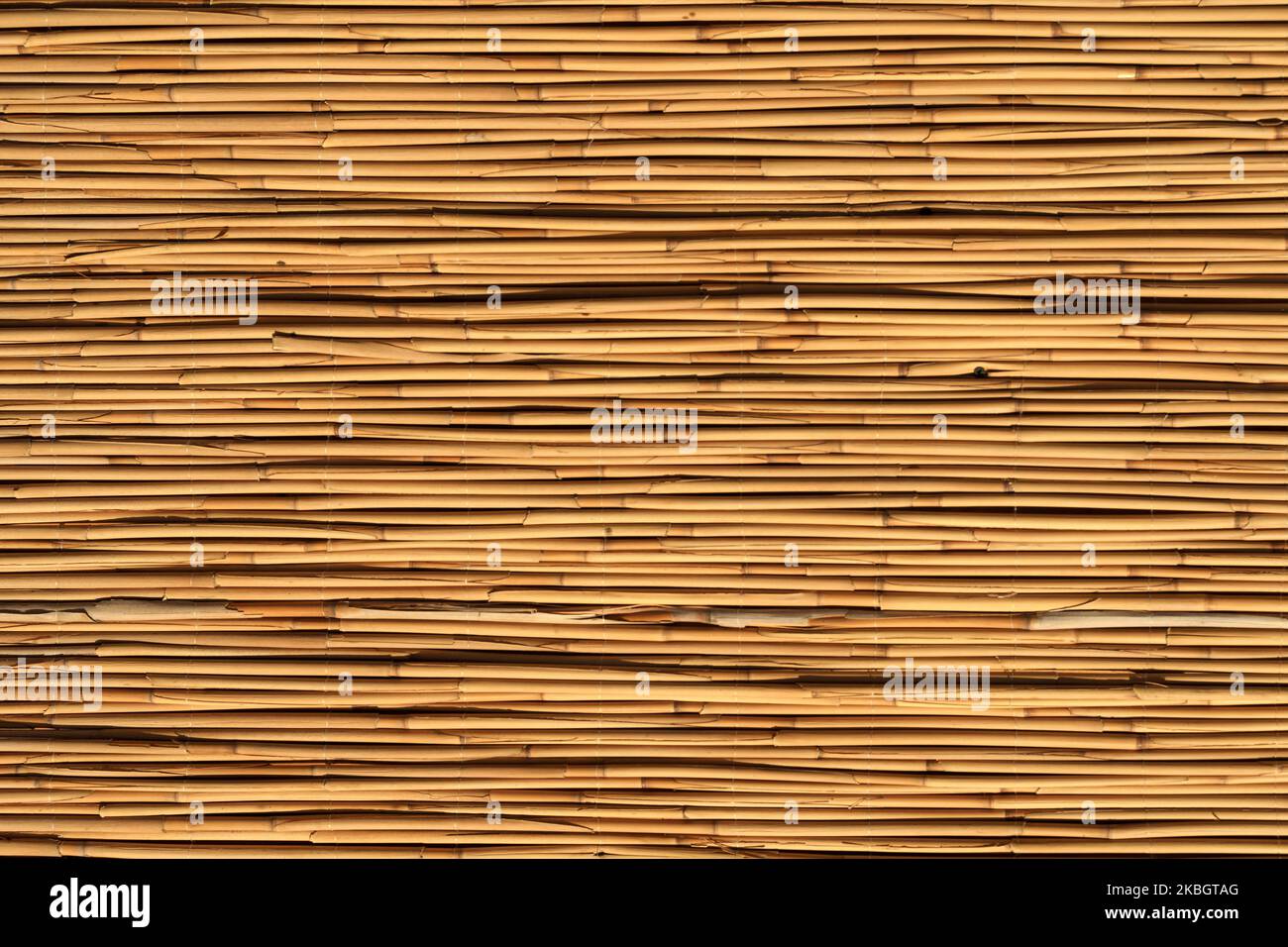Bamboo background. Wooden texture bamboo plant on the decorative wall. High quality photo Stock ...
