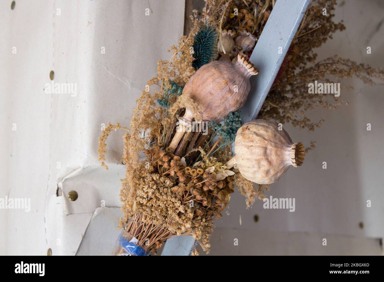 Hanging dried herbs hi-res stock photography and images - Alamy