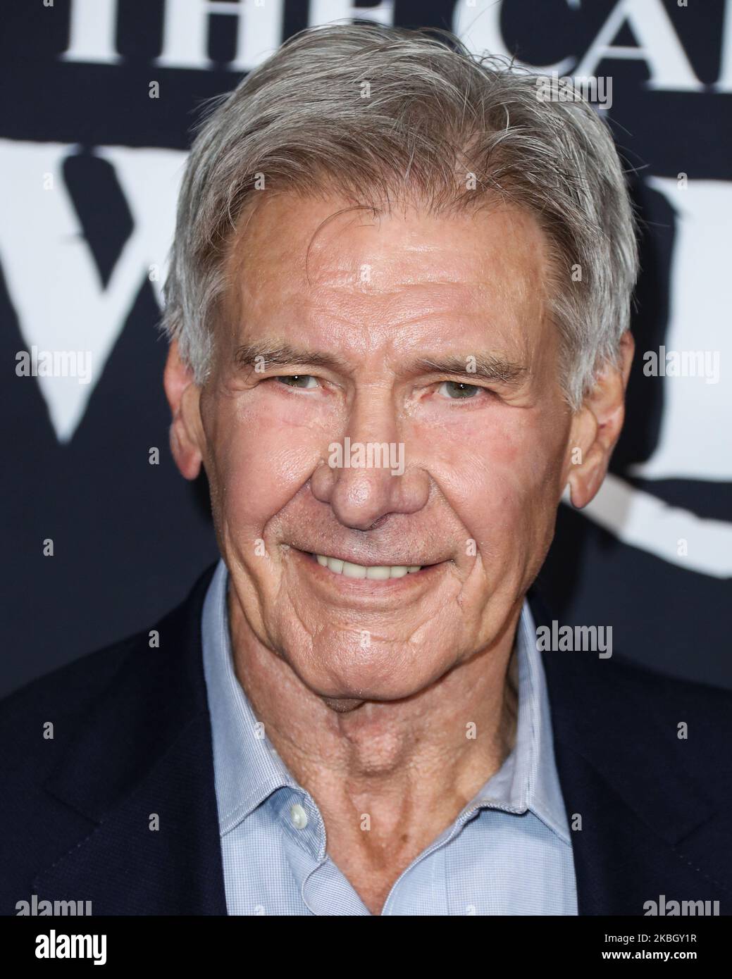 HOLLYWOOD, LOS ANGELES, CALIFORNIA, USA - FEBRUARY 13: Actor Harrison ...