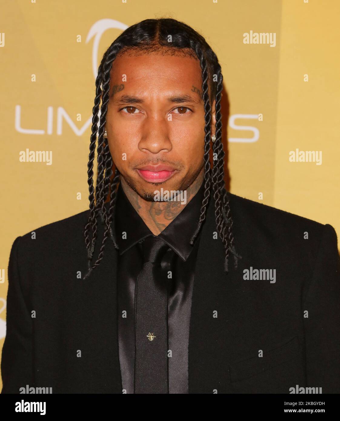 Hollywood, CA, November 3, 2022, Tyga arrives at The amfAR Gala Los ...