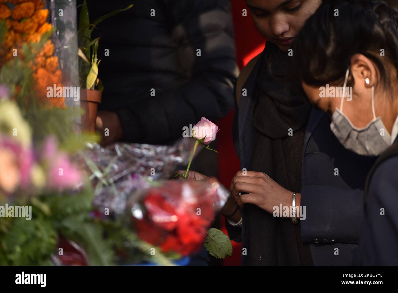 A Nepalese girl select roses for the celebration on Valentine's Day at ...
