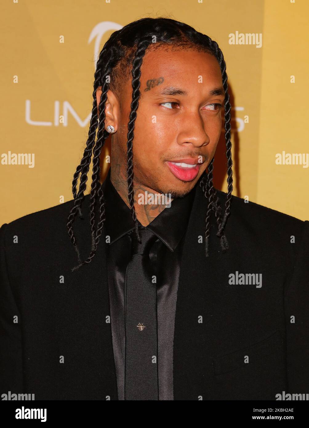 Hollywood, CA, November 3, 2022, Tyga arrives at The amfAR Gala Los ...