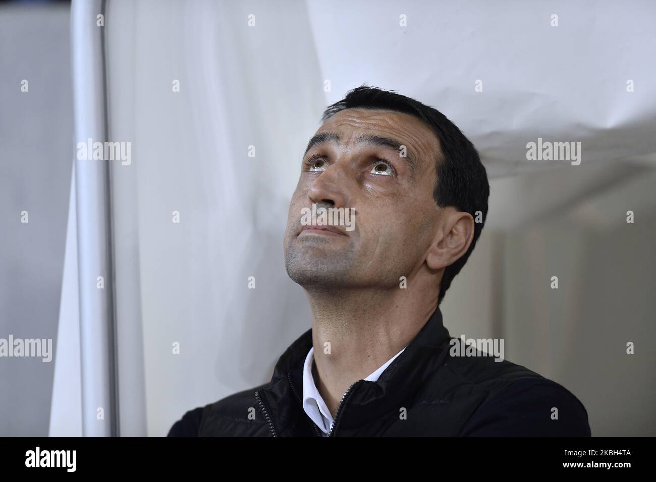 Head coach of fc fcsb hi-res stock photography and images - Alamy