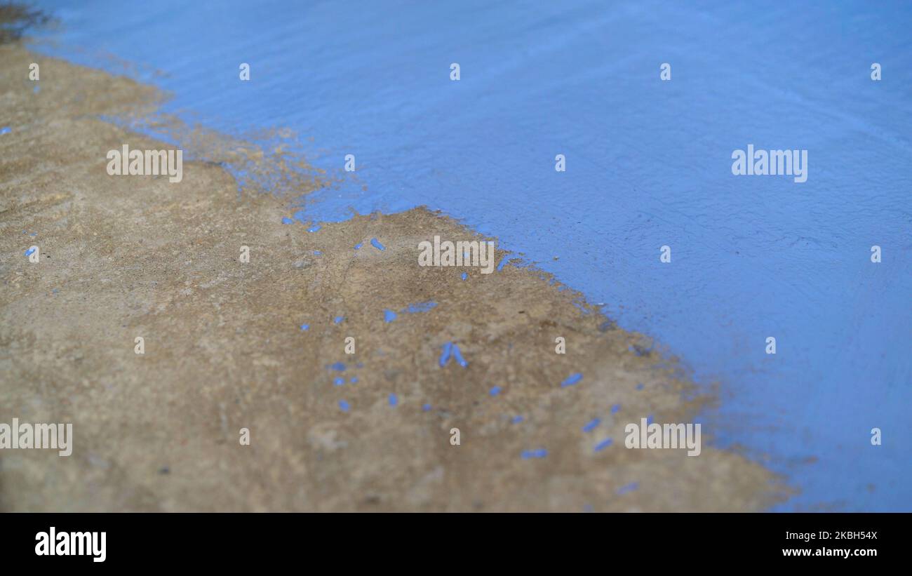 Blue floor waterproofing. Floor waterproofing in bathroom. Worker ...