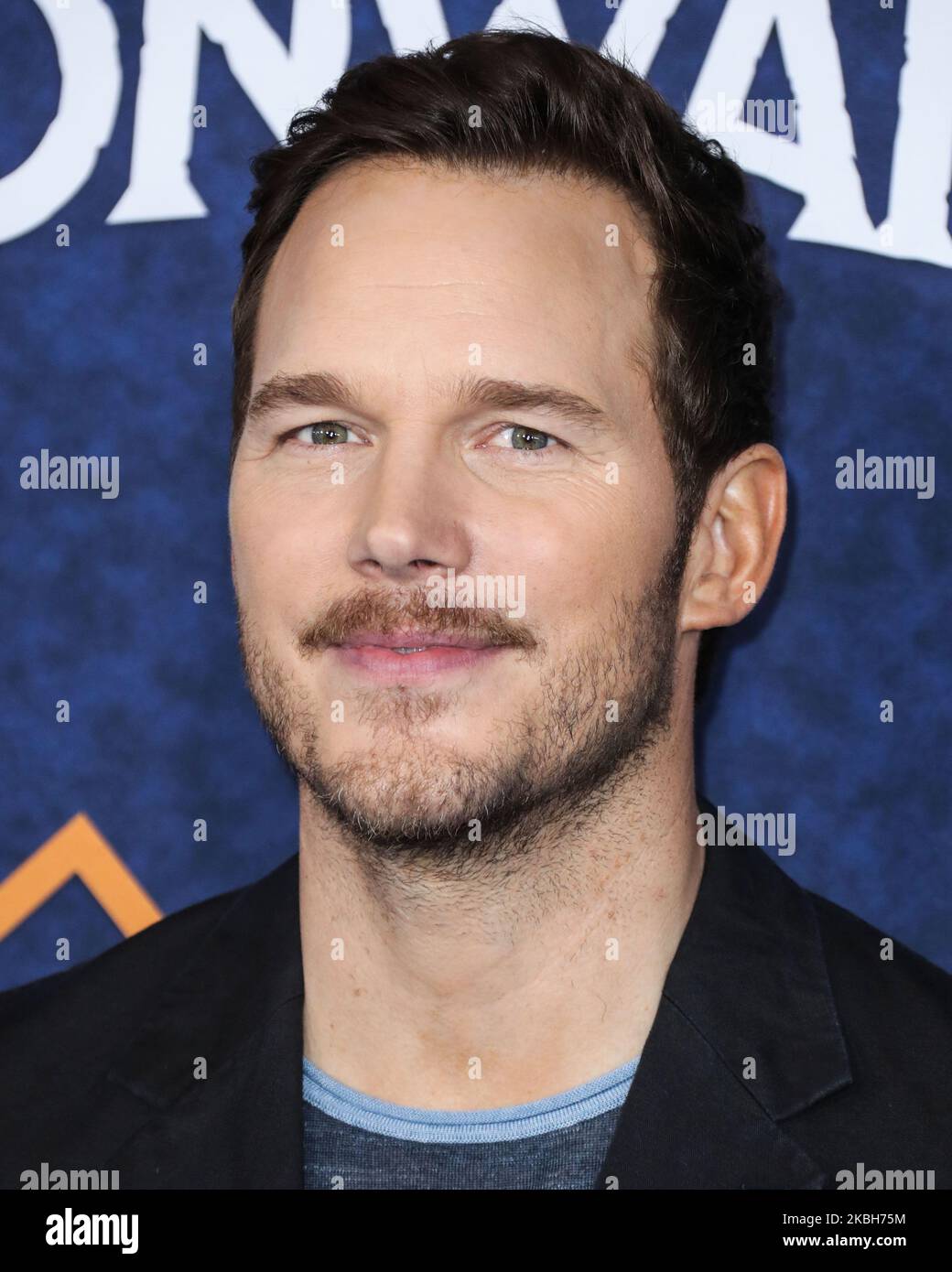 HOLLYWOOD, LOS ANGELES, CALIFORNIA, USA - FEBRUARY 18: Actor Chris ...