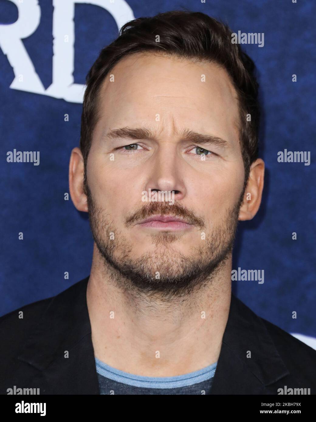 HOLLYWOOD, LOS ANGELES, CALIFORNIA, USA - FEBRUARY 18: Actor Chris ...