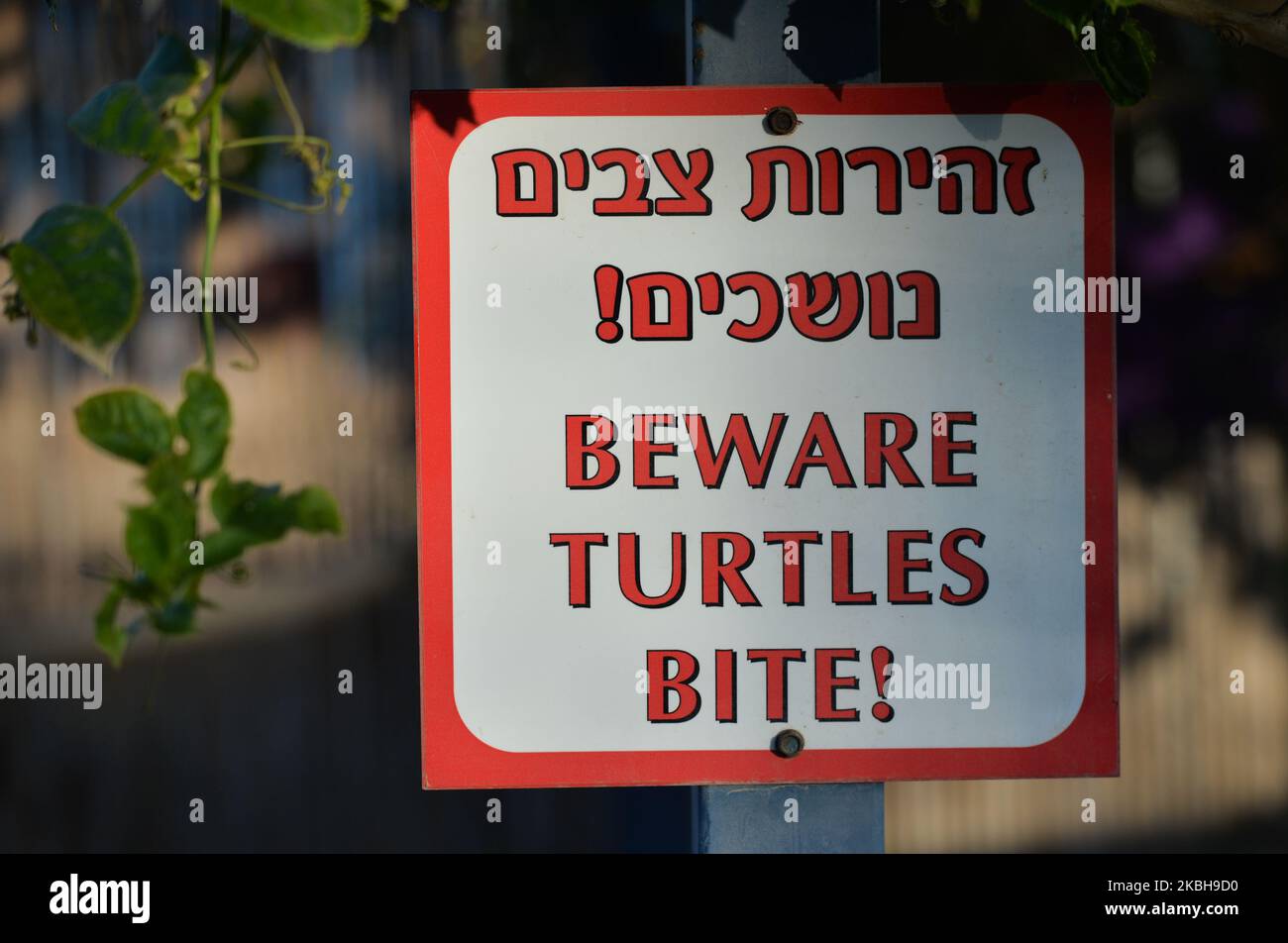 Warning sign 'Beware Turtles Bite!' seen at the Underwater Observatory ...