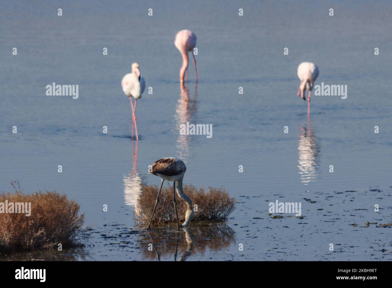 Kalochori lagoon hi-res stock photography and images - Alamy
