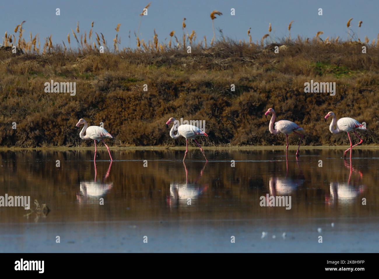 Kalochori hi-res stock photography and images - Alamy