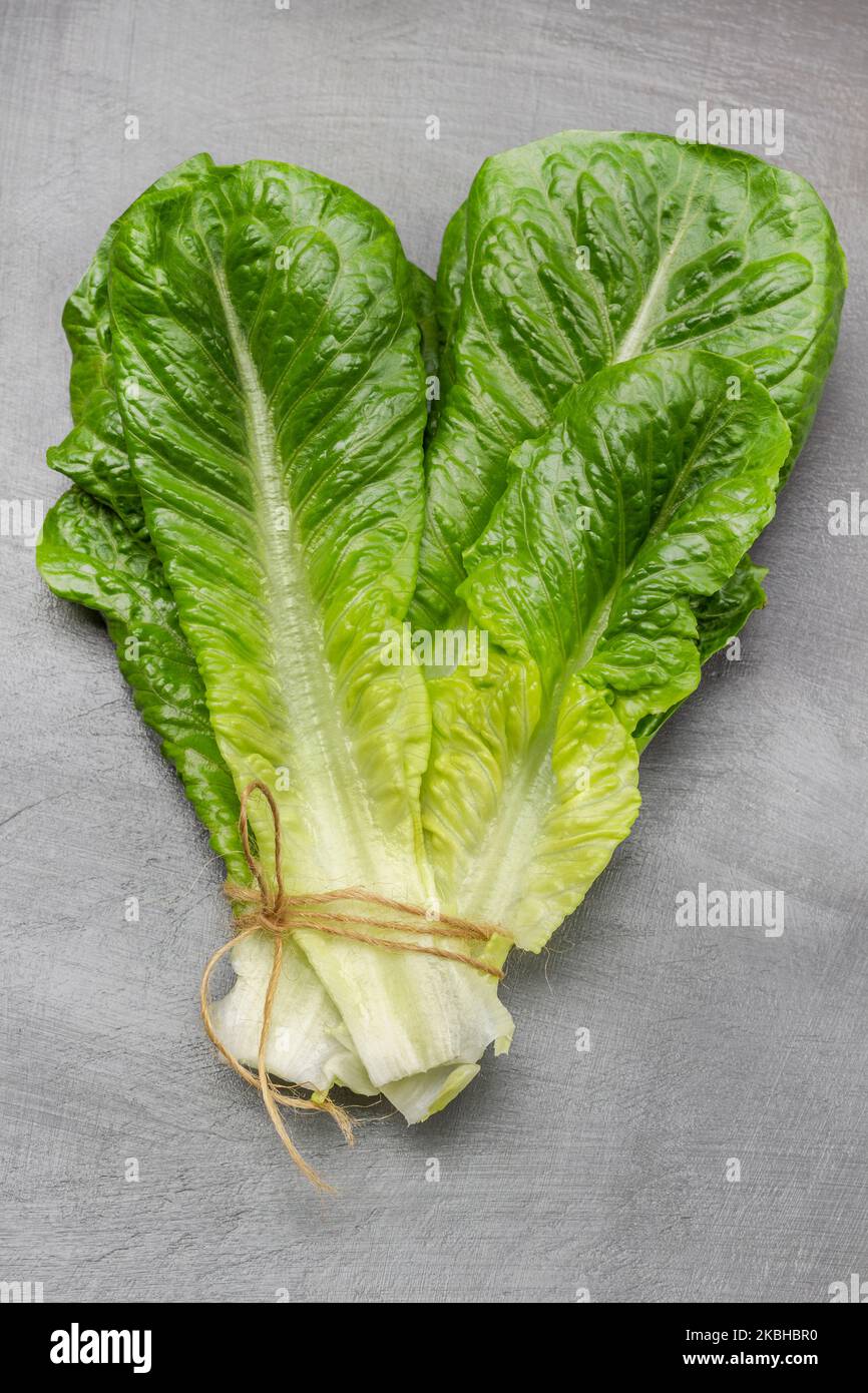 Lettuce leaves on gray hi-res stock photography and images - Alamy