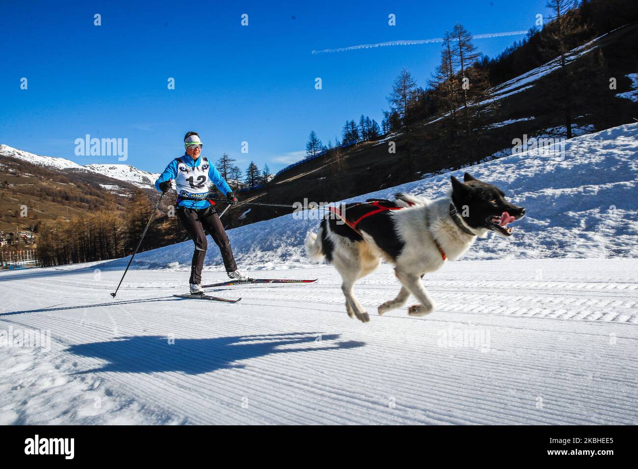 Pragelato, Italy. The Pragelato cross-country track hosted the European ...