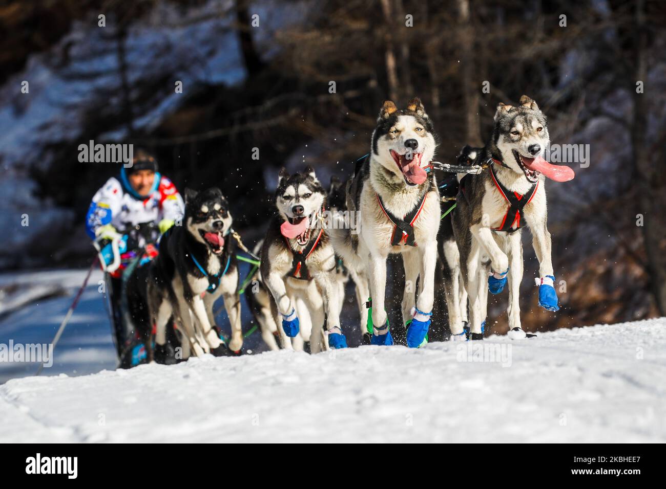 Pragelato, Italy. The Pragelato cross-country track hosted the European ...