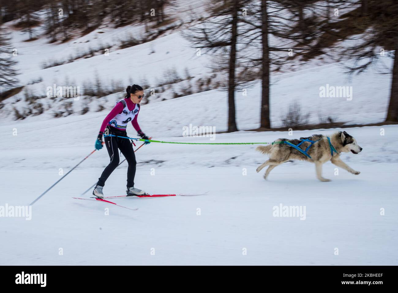 Pragelato, Italy. The Pragelato cross-country track hosted the European ...