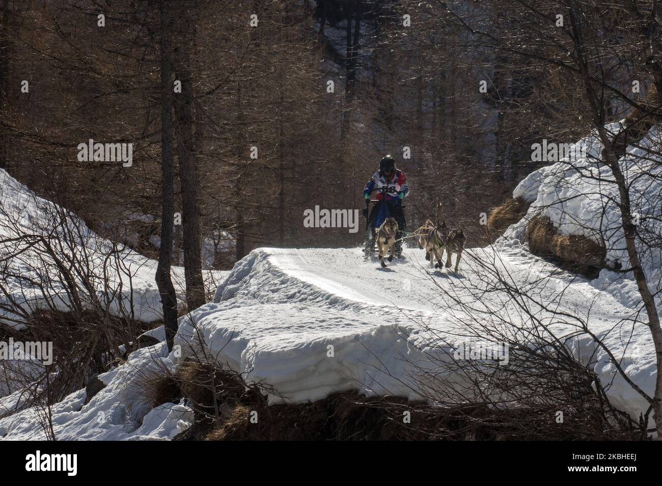 Pragelato, Italy. The Pragelato cross-country track hosted the European ...